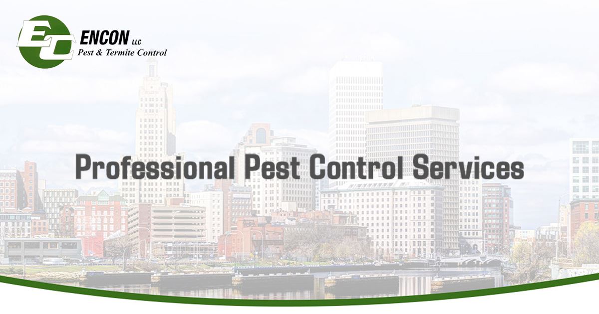 Home Pest Control In RI & MA | Encon LLC